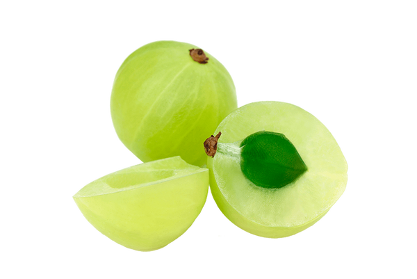 Amla | Teas with Amla | Health Benefits of Amla Tea |Indian Gooseberry ...